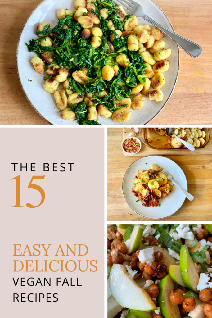 15 Easy and delicious Vegan Fall recipes - Munchyesta