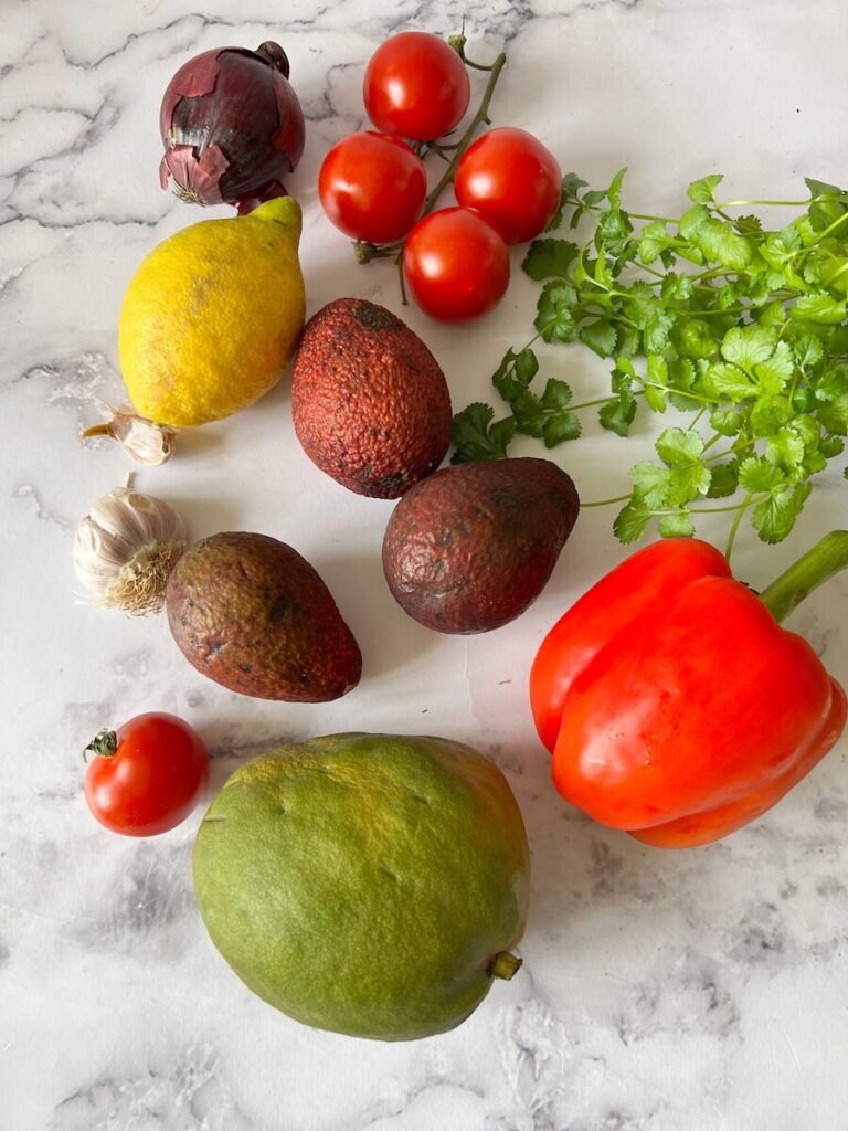 Easy avocado salsa vs creamy guacamole recipe guide - Munchyesta