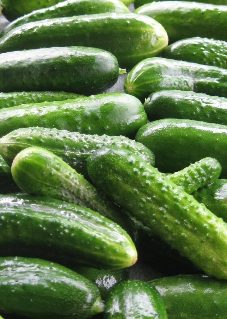 Amish Sweet Pickles: how to make quick pickle recipe - Munchyesta