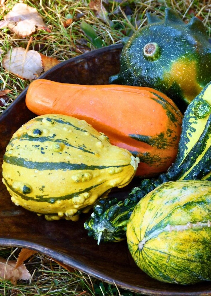 Baked sweet dumpling squash: Best Roasted recipe - Munchyesta