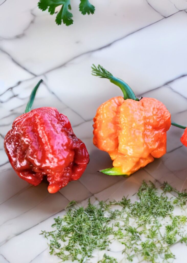 Homemade Carolina reaper hot sauce recipe (spicy) - Munchyesta