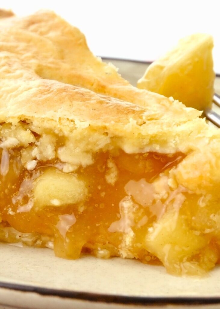 Easy Fry pie recipe: Old-Fashioned Fried Apple Pies - Munchyesta